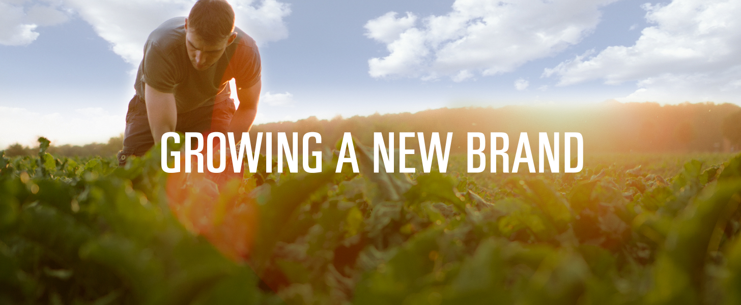 Growing A New Brand Summation
